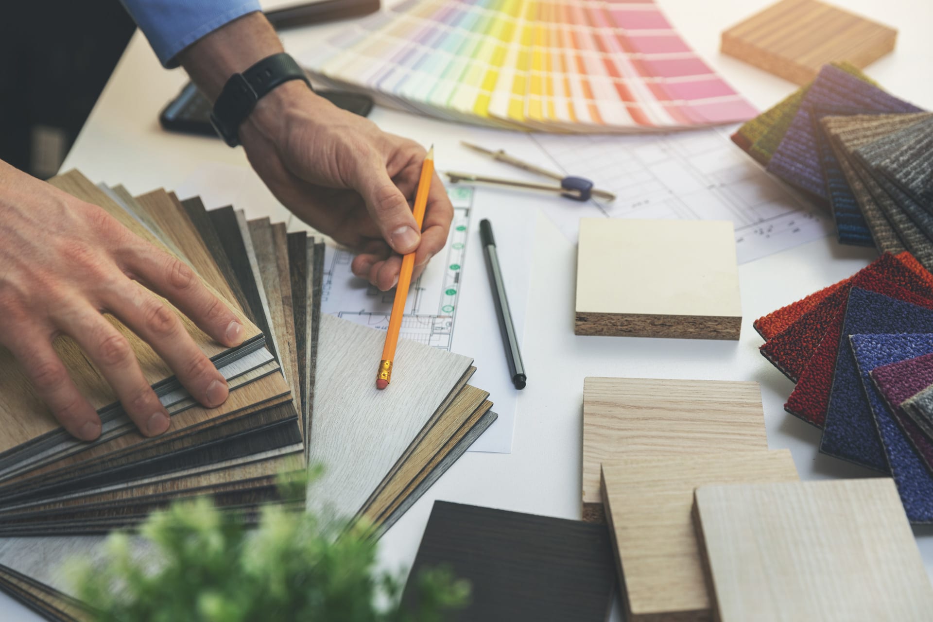 Tiny Home Design Options